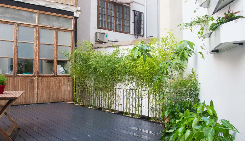 Jardín vertical con bambús en Patio interior. - Plantesdecor